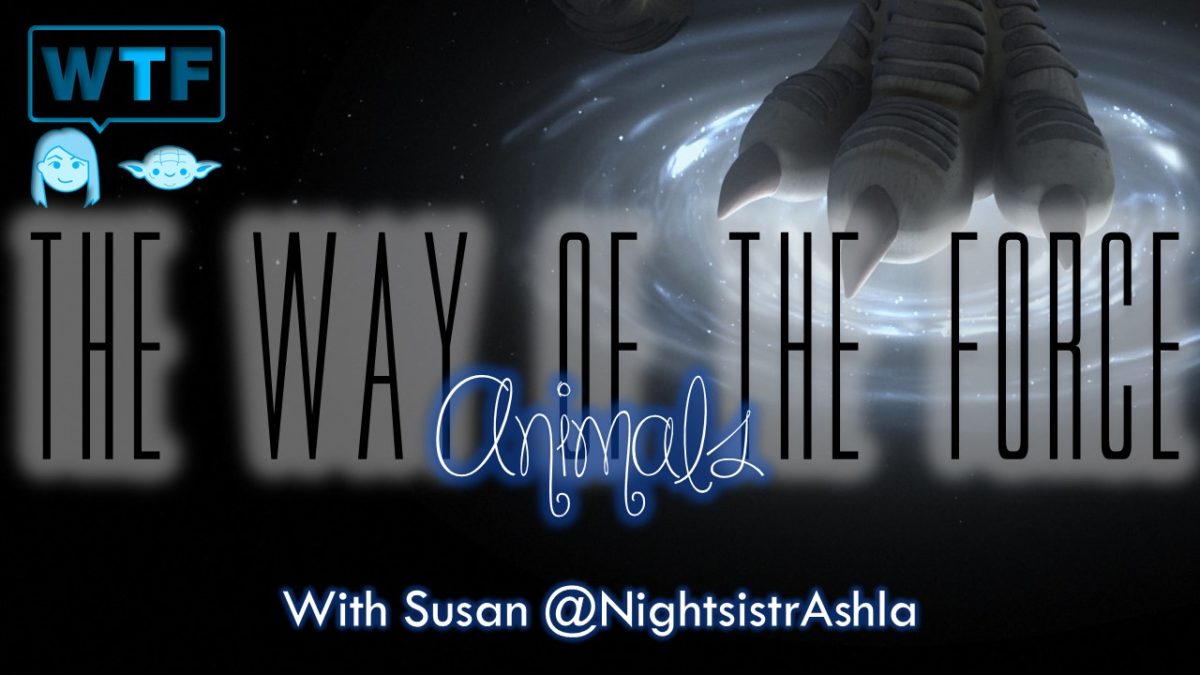 The Way of the Force: Animals | WHAT THE FORCE?