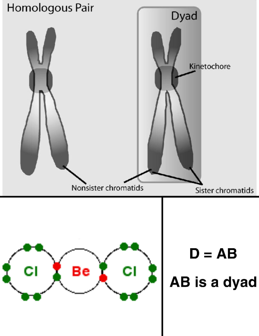 Rey, Kylo Ren, and Reylo: What is the Dyad? | WHAT THE FORCE?